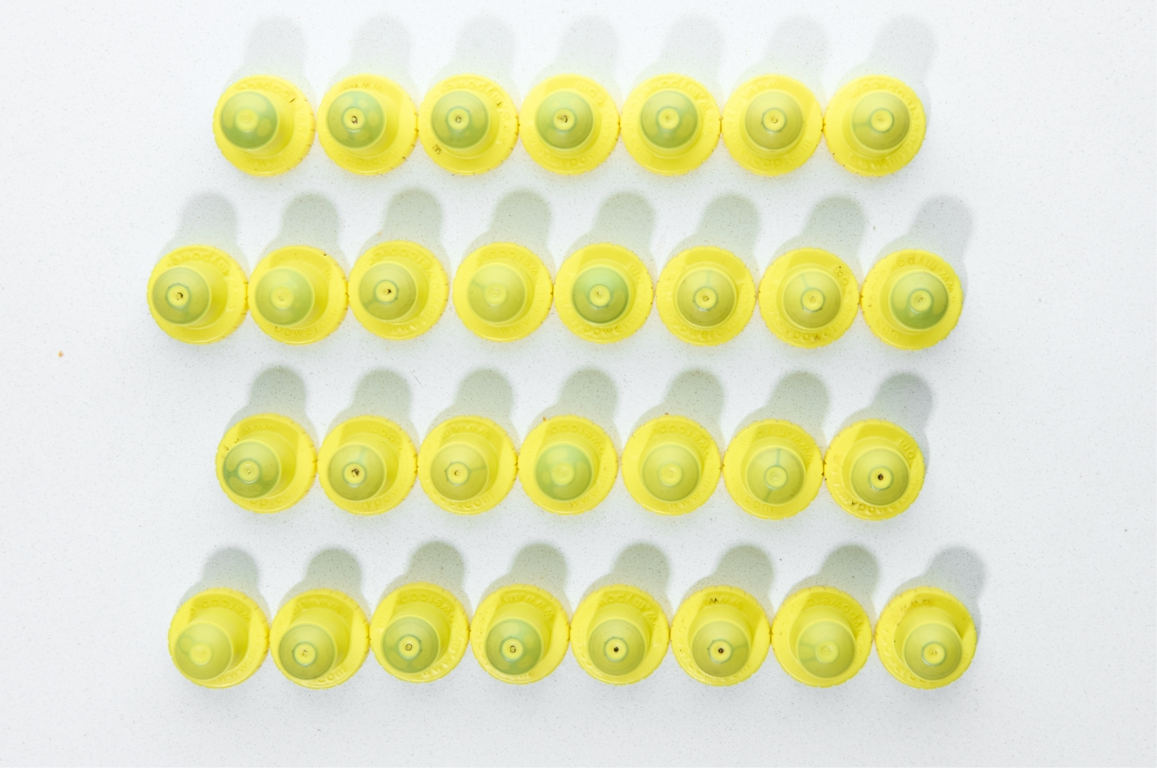 Bioactive Fulvic Acid Caps (30 Caps) – Right By Men